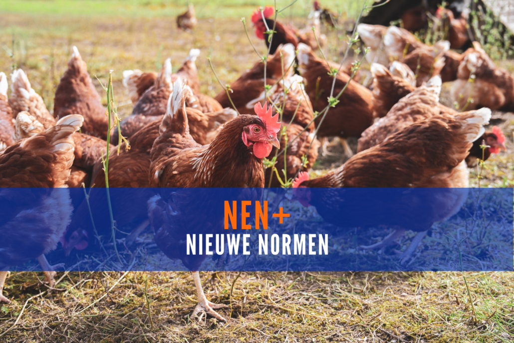 Nieuwe normen NEN+ - Bureau Cicero